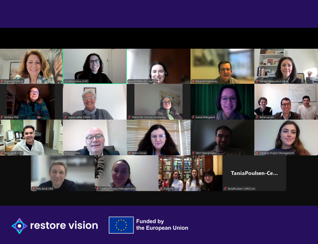 Restore Vision's first review meeting - Restore Vision | Advancing ...