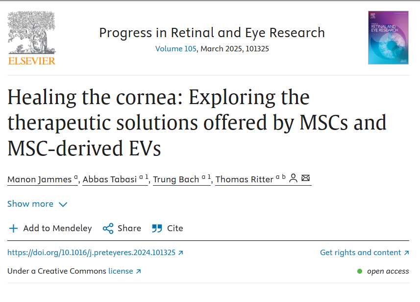 Healing the cornea: the therapeutic potential of Mesenchymal Stromal ...
